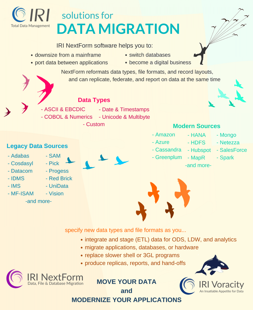 Data Migration Solutions - Data Migration Tools at IRI
